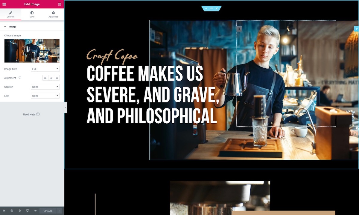 Elementor Page Builder – ThemeGoods Documentations