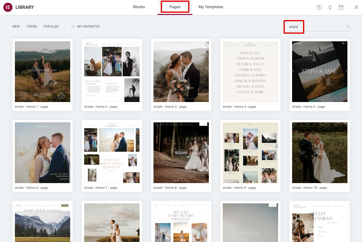 Import Single Demo Page – ThemeGoods Documentations