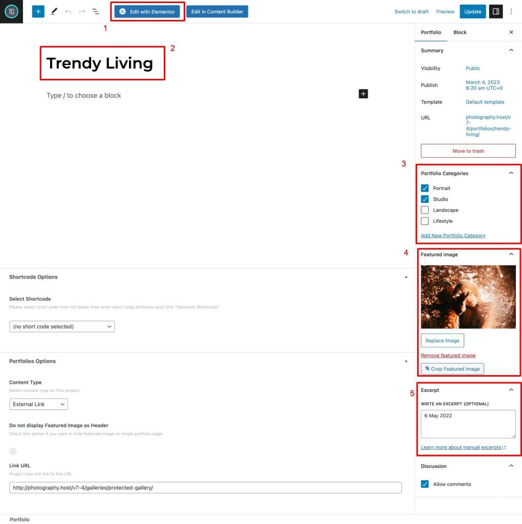 Create a Portfolio Post – ThemeGoods Documentations